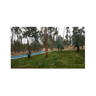 Pasto en Rollo - Zona Verde diseño natural