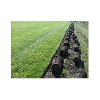 Pasto en Rollo - Zona Verde diseño natural